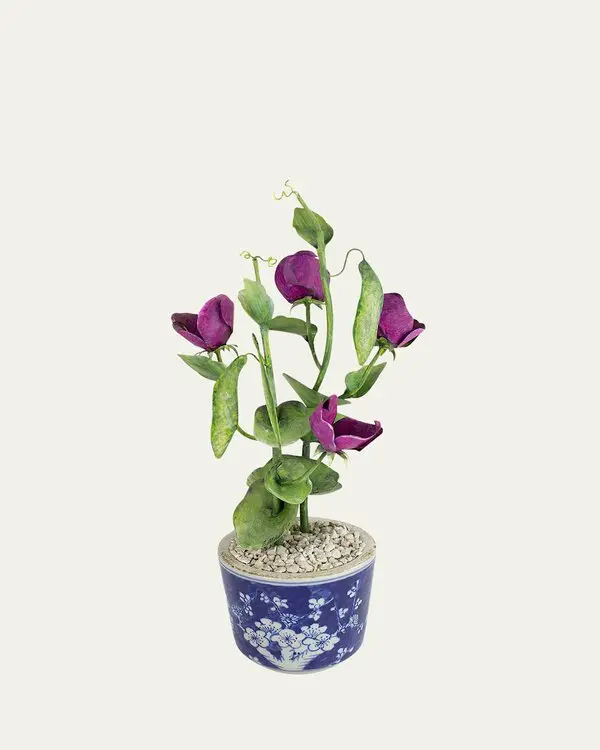 TOMMY MITCHELL Sweet Pea April Birth Flower In Ceramic Pot - Deep Pink