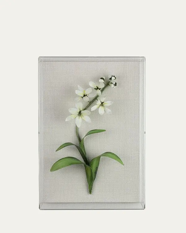 TOMMY MITCHELL Freesia March Birth Flower Wall Art