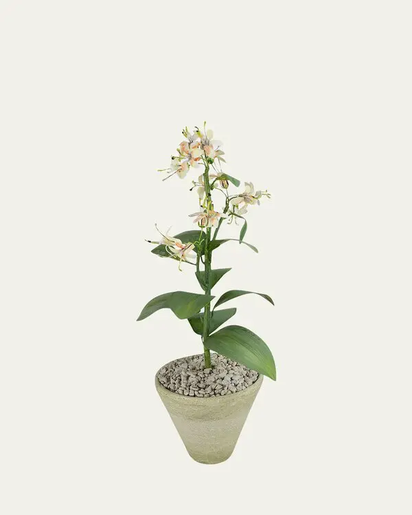 TOMMY MITCHELL Honeysuckle June Birth Flower In White Terracotta Pot - Warm White