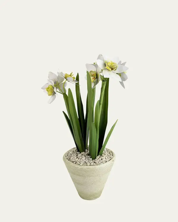 TOMMY MITCHELL Narcissus December Birth Flower In Terracotta Pot - White