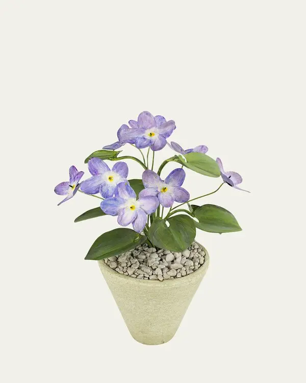 TOMMY MITCHELL February Birth Flower In White Terracotta Pot - Violet