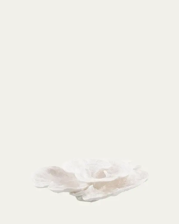 JOHN-RICHARD COLLECTION Foliose Coral