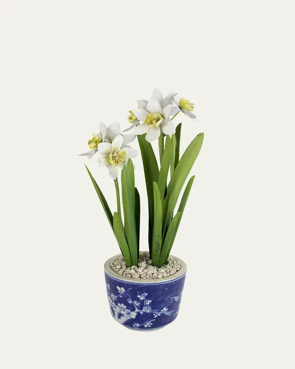 TOMMY MITCHELL Narcissus December Birth Flower In Blue/ Ceramic Pot - White