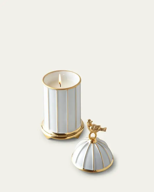 L'Objet Bird Cage" Candle