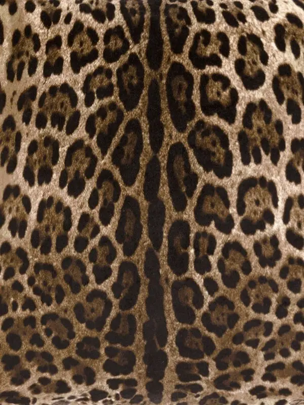 Dolce & Gabbana Medium Leopardo-print Velvet Cushion