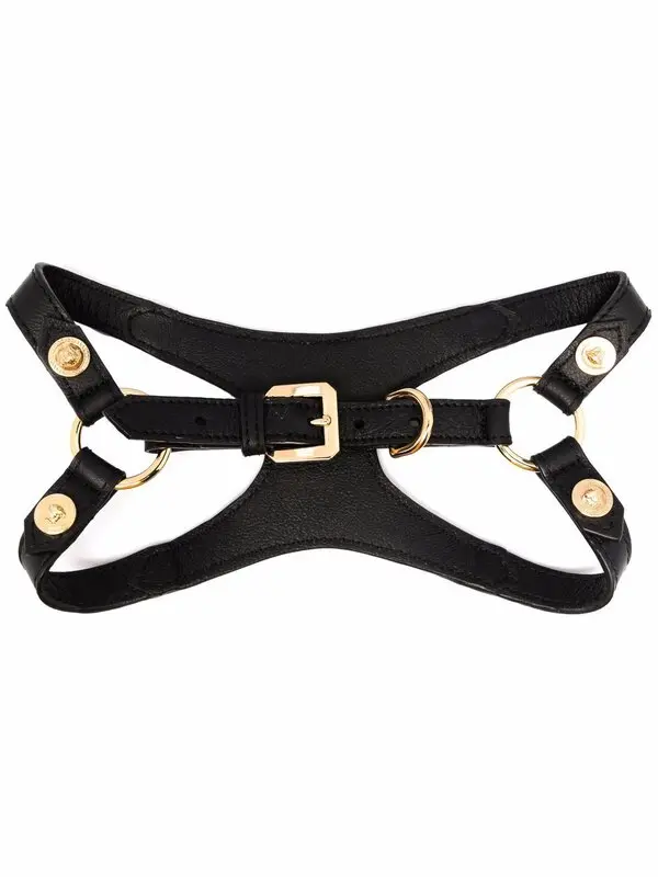 Versace Medusa-stud Pet Harness - Black