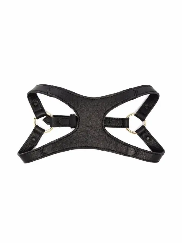 Versace Medusa-stud Pet Harness