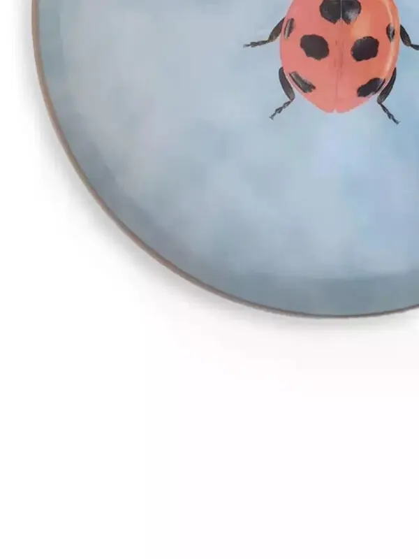 LES-OTTOMANS Insetti Porcelain Plate