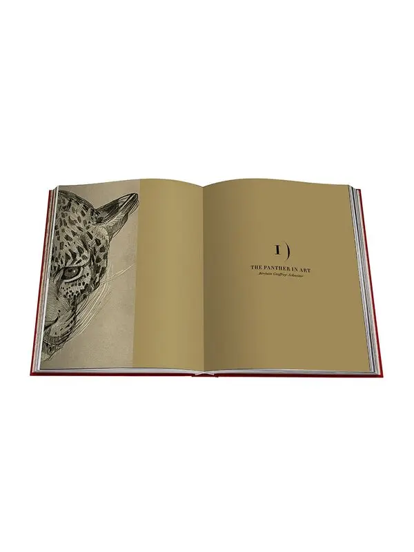 Assouline Cartier Panthère Book - Multicolour