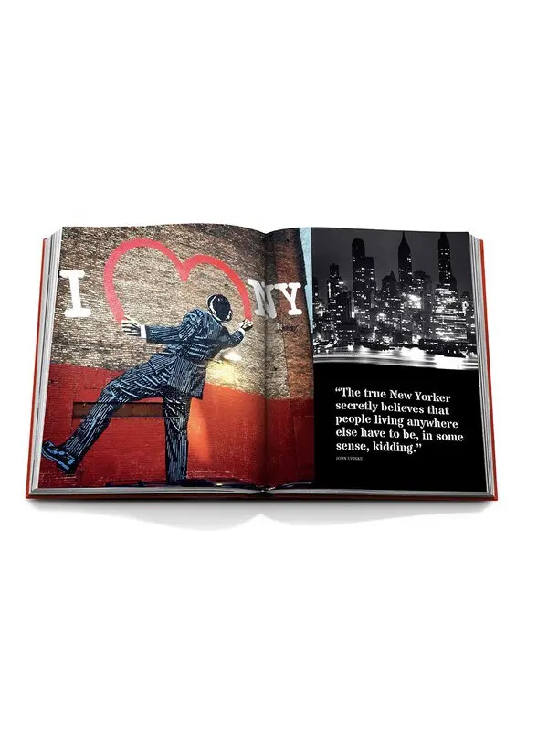 Assouline New York New York Book - Grey