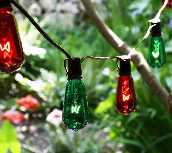 LUMABASE Electric String Lights With Red & Gree N Edison Bulbs