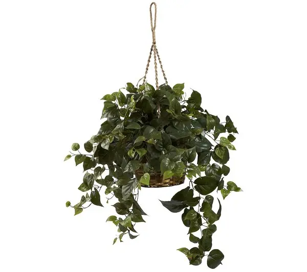 NEARLY NATURAL Philo Hanging Basket By - One-color