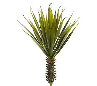 NEARLY NATURAL Spiky Agave Succulent Plant Set Of 2 Nearly Atural - One-color