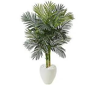 NEARLY NATURAL 4.5' Golden Cane Palm Tree In Planter By - One-color