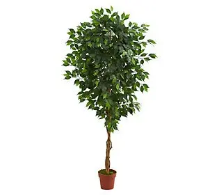 NEARLY NATURAL 6' Ficus Artificial Tree - One-color