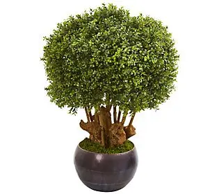 NEARLY NATURAL 38' Boxwood Topiary In Decorative Bowl Nearl Y Natural - One-color