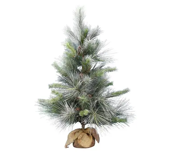 VICKERMAN 48' Frosted Myers Pine Tree Burlap Ba E - One-color