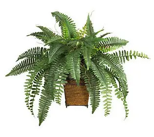 NEARLY NATURAL Boston Fern Plant With Wicker Basket Nearlyn Atural - One-color