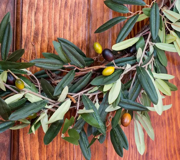 NEARLY NATURAL 20' Olive Wreath By