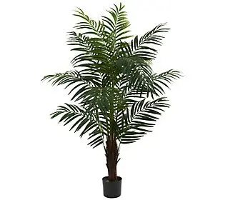 NEARLY NATURAL 5' Areca Palm Tree By
