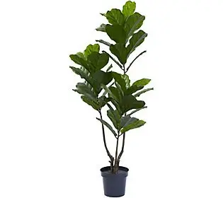 NEARLY NATURAL 65' Indoor/outdoor Fiddle Leaf Tree Nearly N Atural - One-color