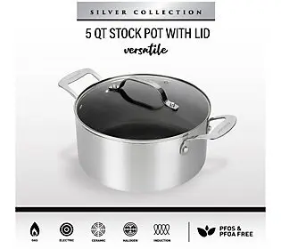 GRANITESTONE 5-quart Silver Nonstick Stock P Ot With Lid