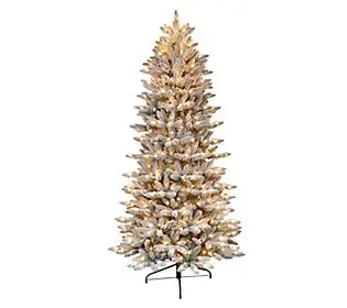 QVC 6.5' Flocked Slim Fraser Fir Artificial Tree 35 0 Clear Lights - One-color
