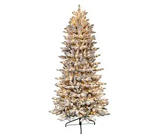 QVC 7.5' Flocked Slim Fraser Fir Artificial Tree 50 0 Clear Lights - One-color