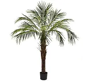 NEARLY NATURAL 6' Robellini Palm Tree By