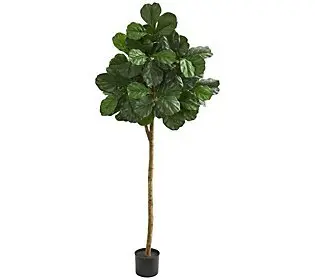 NEARLY NATURAL 6' Fiddle Leaf Fig Artificial Tree Nearly Na Tural - One-color