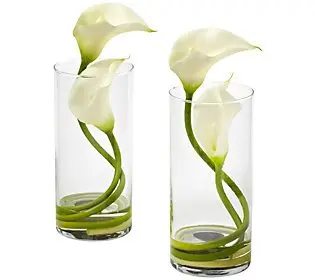 NEARLY NATURAL Double Calla Lily With Cylinder Set Of 2 Nea Rly Natural - One-color