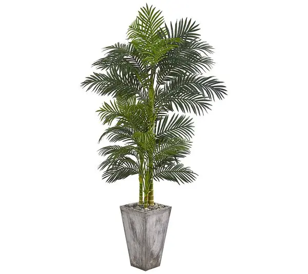 NEARLY NATURAL 7' Golden Cane Palm In Cement Planter By - One-color