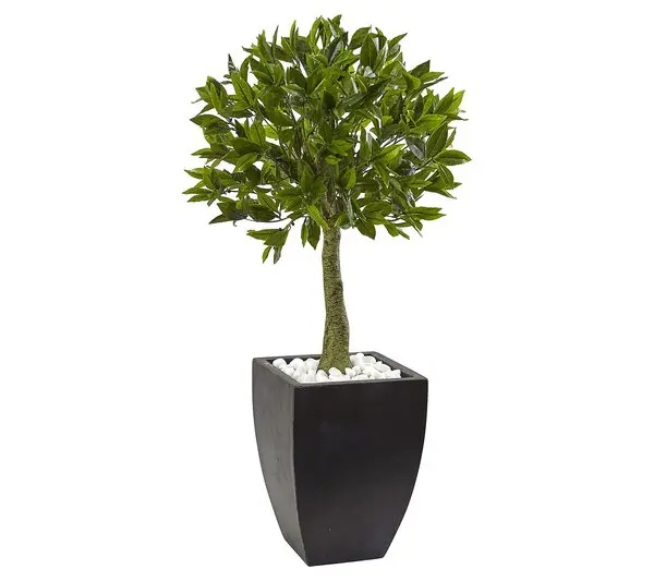 NEARLY NATURAL 3.5' Bay Leaf Tree With Black Planter By - One-color
