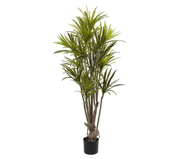NEARLY NATURAL 5' Dracaena Silk Tree By - One-color