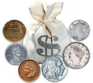 AMERICAN COIN TREASURES Bankers Bag Of Over 60 Historic Coins - One-color