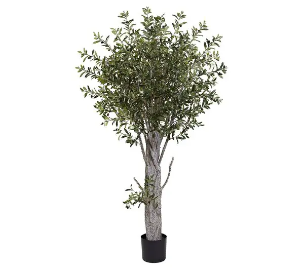 NEARLY NATURAL 6' Olive Tree By - One-color