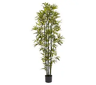 PURE GARDEN 6' Artificial Bamboo Plant With Gre En Trunk - One-color