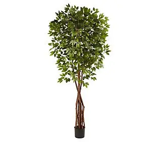 NEARLY NATURAL 7.5' Super Deluxe Ficus Tree By - One-color