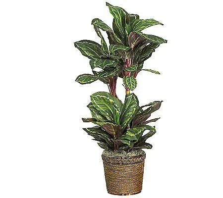 NEARLY NATURAL 45' Maranta Plant By - One-color