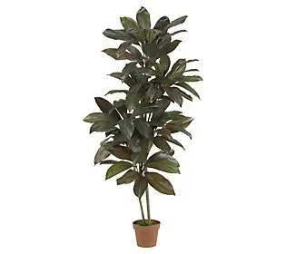 NEARLY NATURAL 5' Cordyline Silk Plant By - One-color