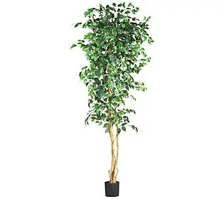 NEARLY NATURAL 7' Ficus Silk Tree By - One-color