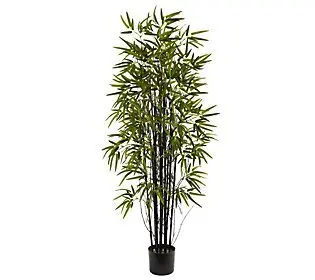NEARLY NATURAL 5' Black Bamboo Tree By - One-color