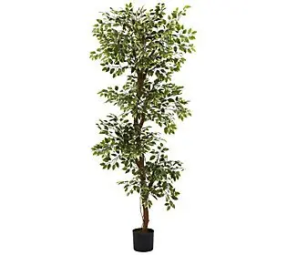 NEARLY NATURAL 6' Variegated Ficus Silk Tree By - One-color