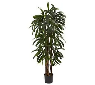 NEARLY NATURAL 4' Raphis Palm Tree By - One-color