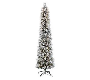 QVC 6.5' Flocked Patagonia Pine Artificial Tree 300 Clear Lights - One-color
