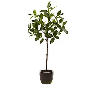 NEARLY NATURAL 29 Topiary With Decorative Planter Nearly Atural - One-color