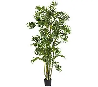 NEARLY NATURAL 6' Areca Palm Tree By - One-color
