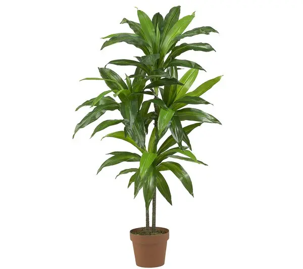 NEARLY NATURAL 48' Real Touch Dracaena Plant By - One-color