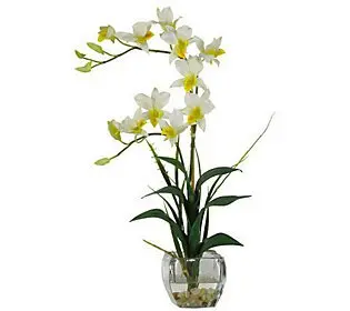 NEARLY NATURAL Dendrobium Flower Arrangement By - One-color