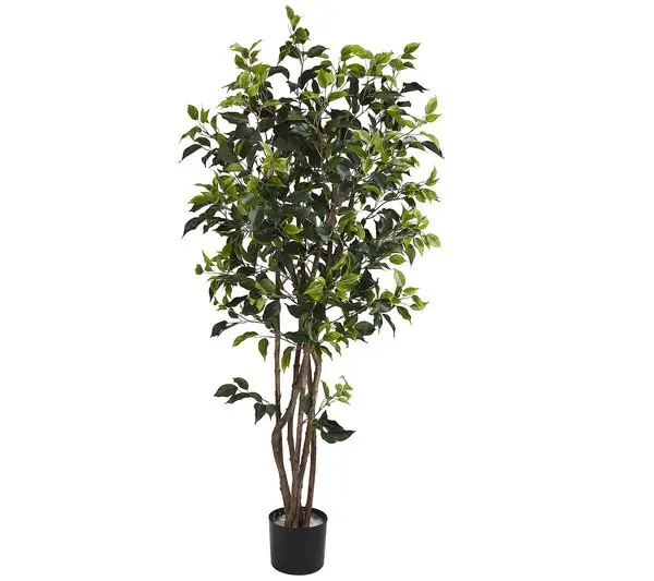NEARLY NATURAL 5' Ficus Bushy Silk Tree By - One-color
